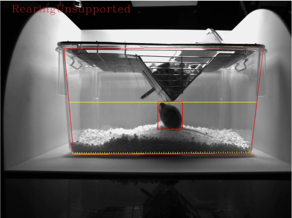 全新推出小鼠精细化行为自动分析系统