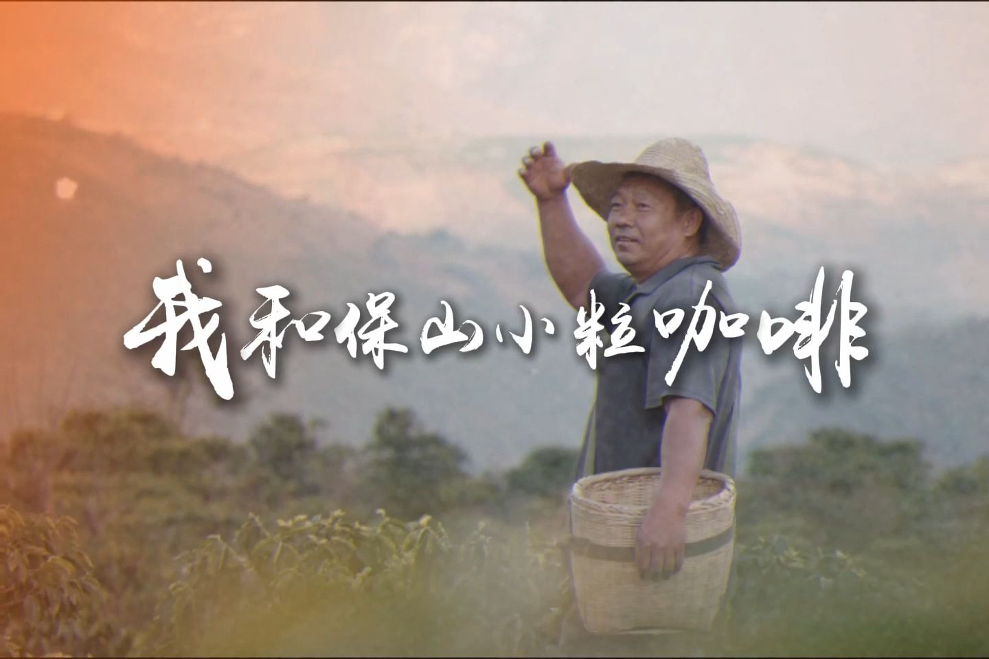 云南保山小粒咖啡纪录片《我和保山小粒咖啡》