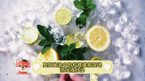 134.桔子皮的功效与作用
