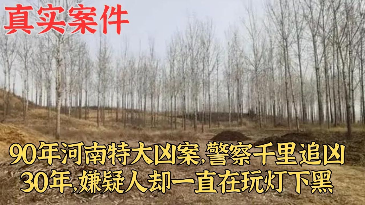 ...河南特大凶杀案,警察千里追凶30年,嫌疑人却一直在玩灯下黑|真实案件