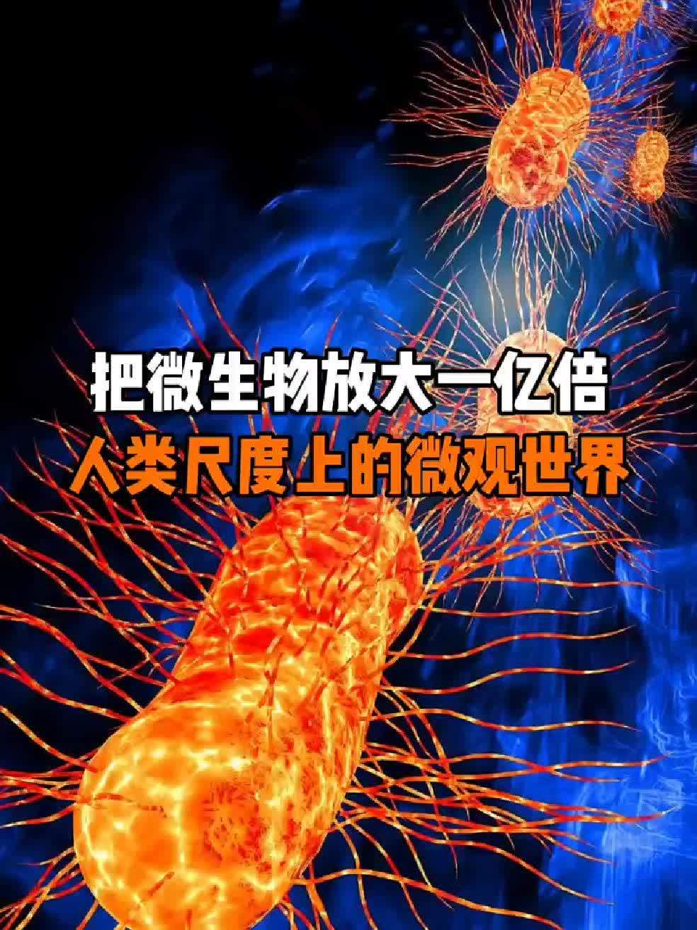 把微生物放大1亿倍人类尺度上的微观世界