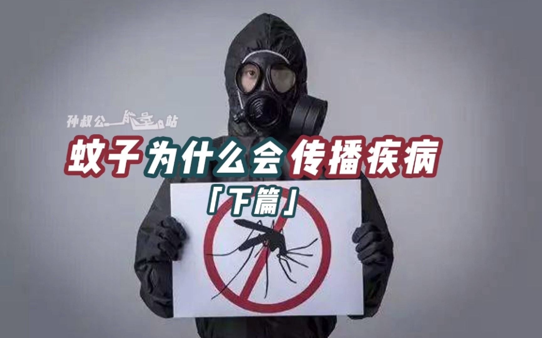 下-蚊子为什么会是传播疾病的载体