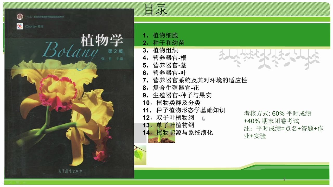 植物学-绪论