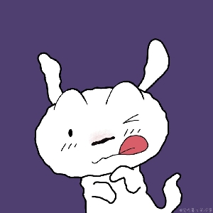 biD小白 