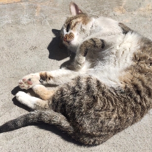 桂林夏日电玩 