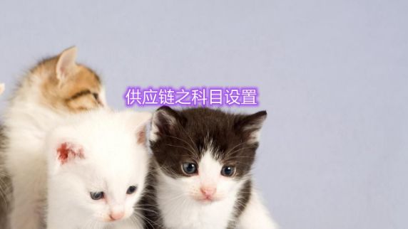 用友T+如何设置和供应模块有关的会计科目#苦逼财务 #财务