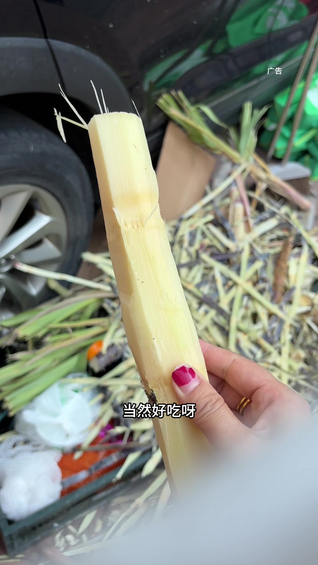 我也吃到了百果园9.9一根的甘蔗,好甜啊 #全球好水果直供百果园 #...