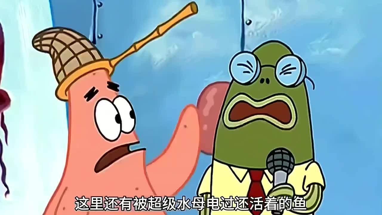 海绵宝宝 动画解说