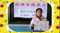 思维导图作品—百分数的认识