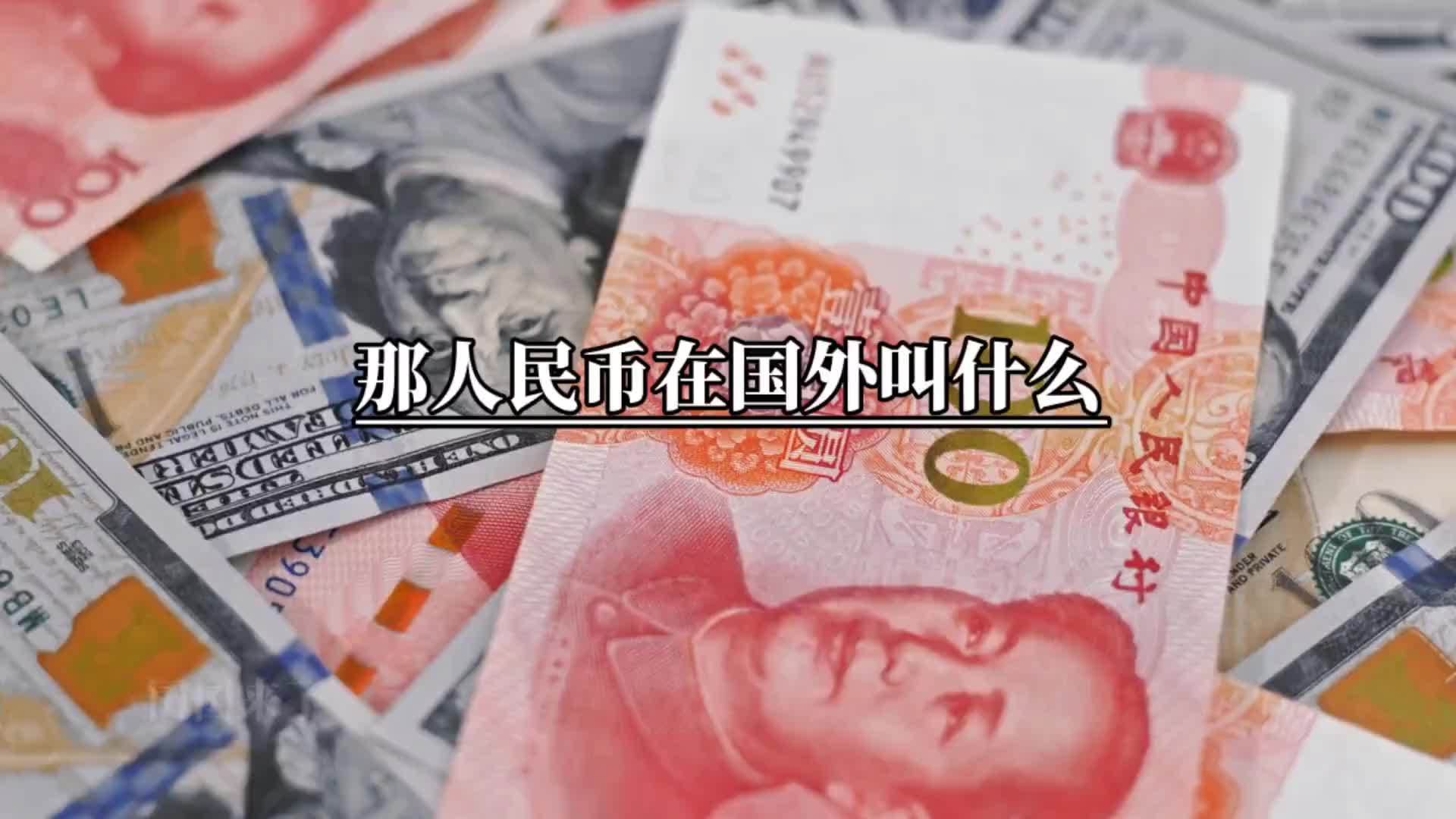 国的钱在中国叫"美金",那人民币在国外叫什么