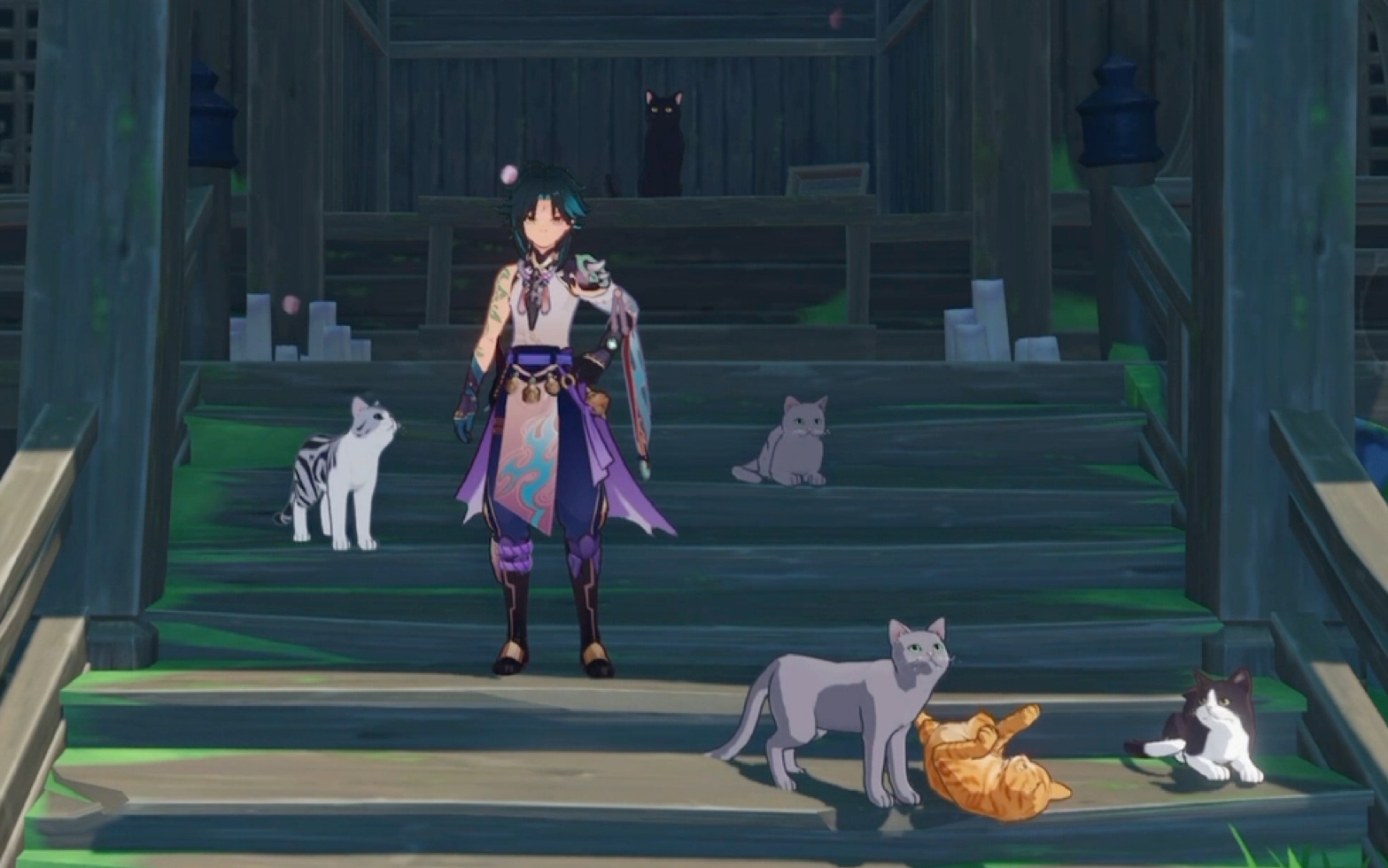 把浅濑神社附近的猫咪聚到了一起_原神