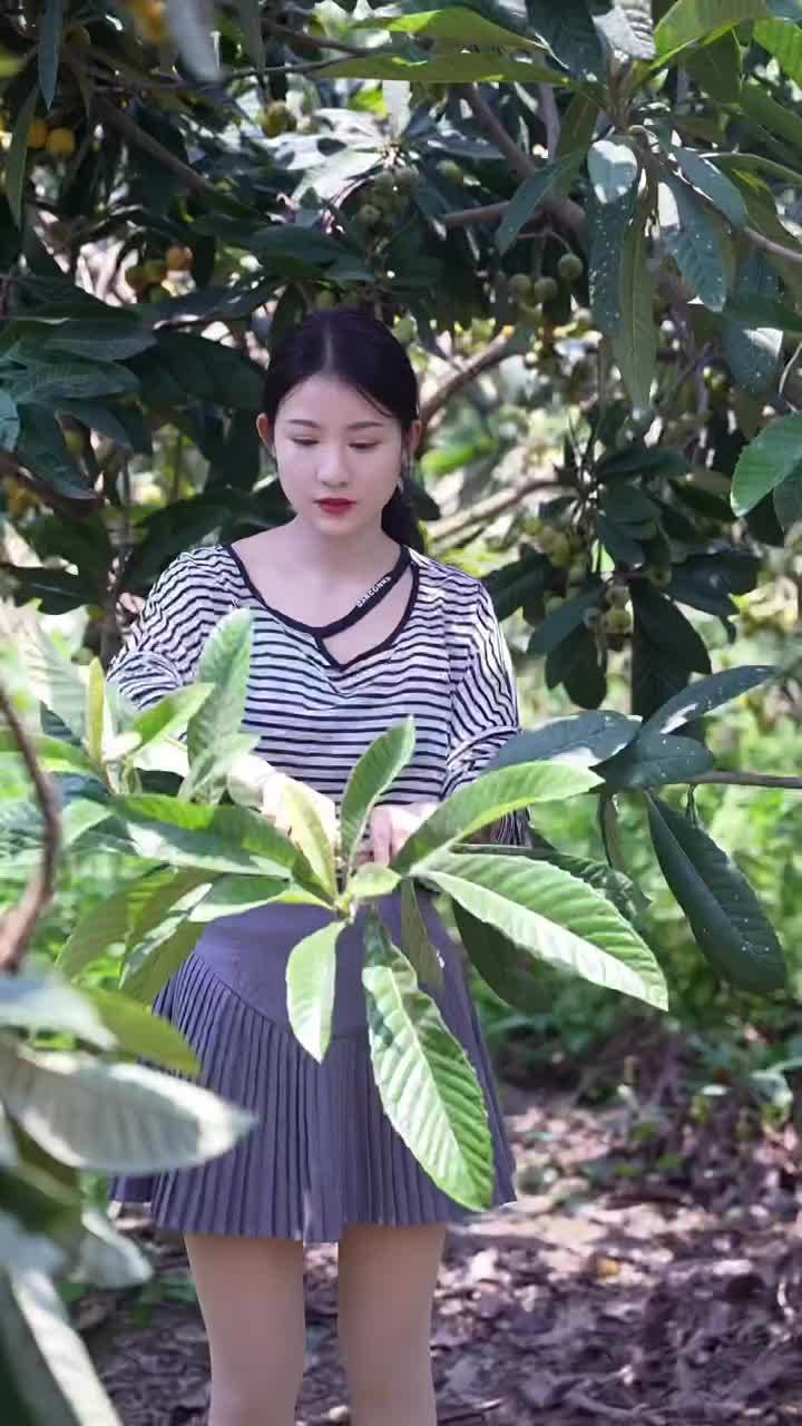 枇杷的季节,熬制一锅枇杷膏,止咳润肺,比外面的还管用
