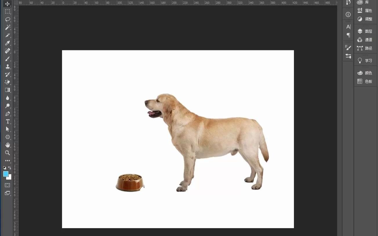 Photoshop小技巧,PS控制一个抬头的狗狗低头来吃狗粮