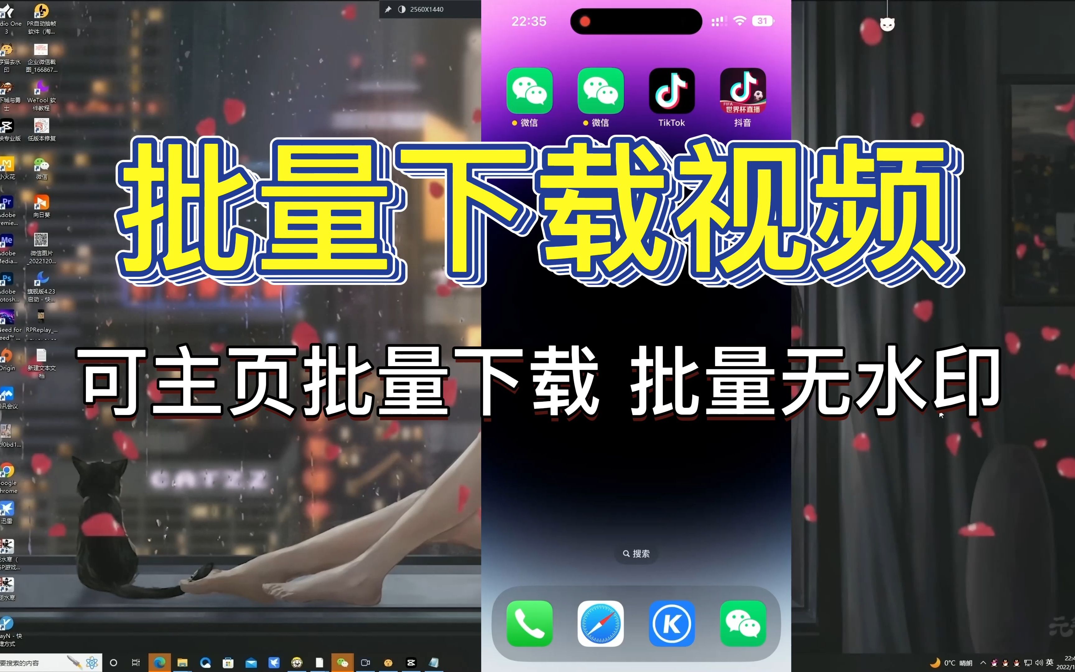 一键批量下载抖音、TikTok等视频,操作简单,小白友好的操作教程 #...