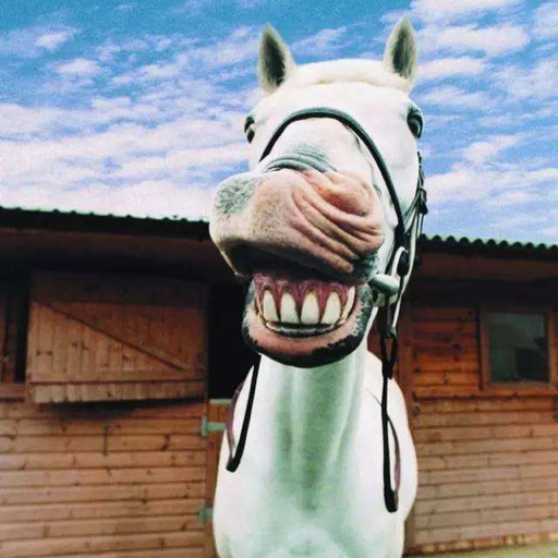 AI马带你署名发明专利 