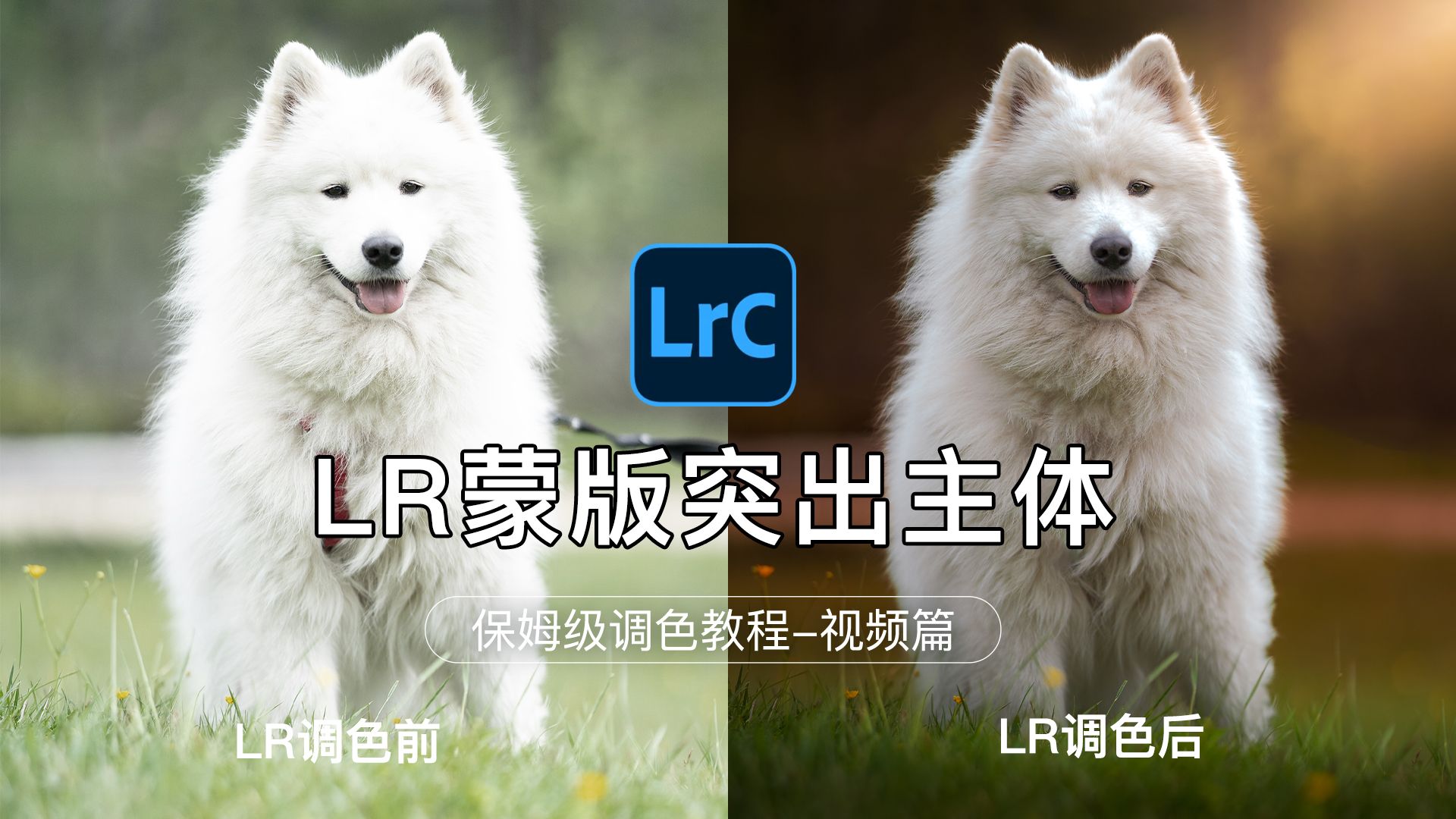 如何用Lightroom蒙版的蒙版来突出主体!