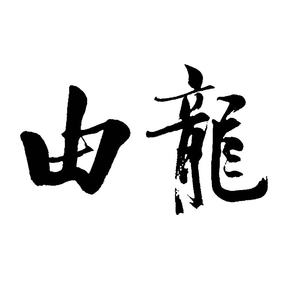 上海由龙工作室 