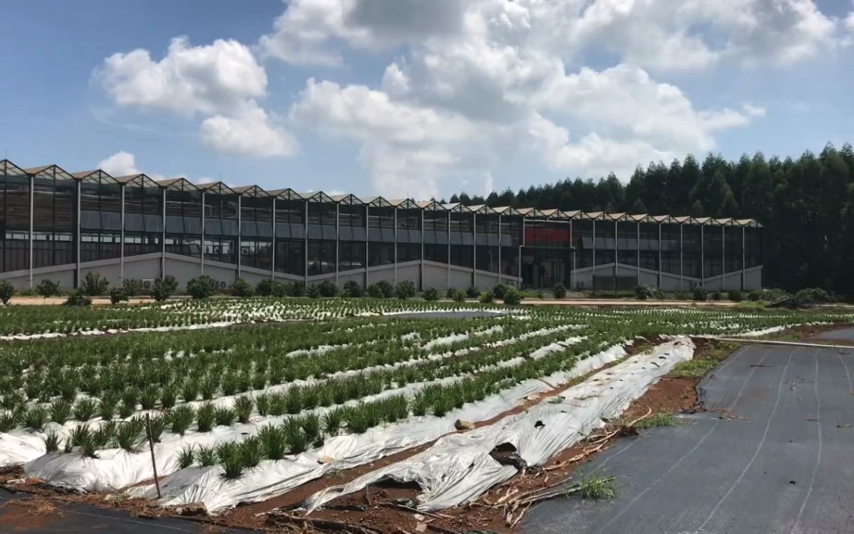 智能温室热带农业科技园,想不到农业也可以高大上,不愧全国唯一