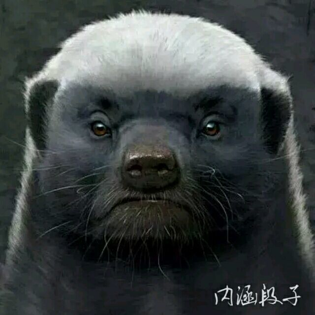 巴巴巴巴巴巴斯光年 