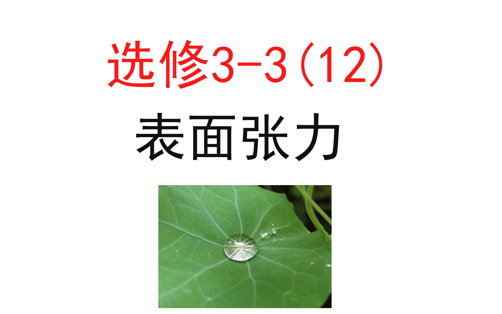 【选修3-3】【物态及其物态变化】12.液体-表面张力