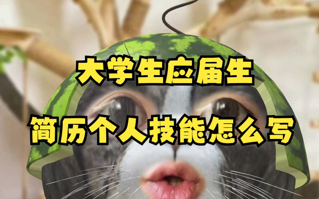 大学生应届生简历个人技能怎么写?收藏点赞反复观看!