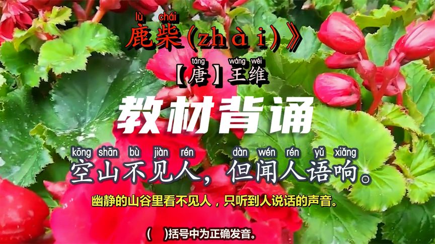 《鹿柴》部编版小学语文四年级上册古诗词背诵篇目,带拼音