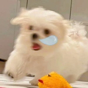 虾看一下