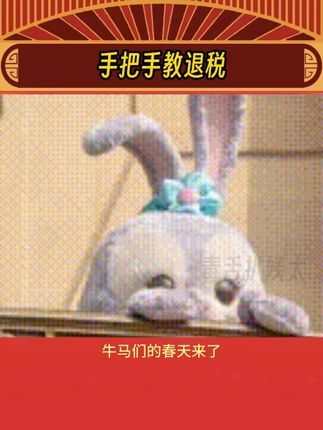 这份退税教学赶紧码好!#退税 #个税 #打工人 #娱乐评论大赏
