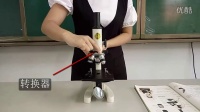 认识显微镜的结构