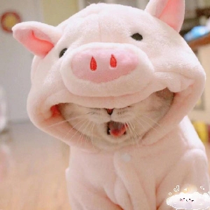 一金两戈 
