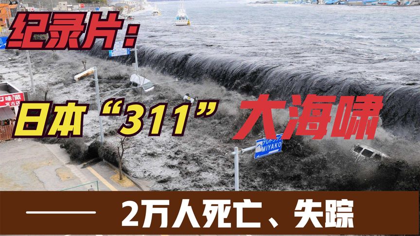 纪录片:日本“311”大海啸真实影像