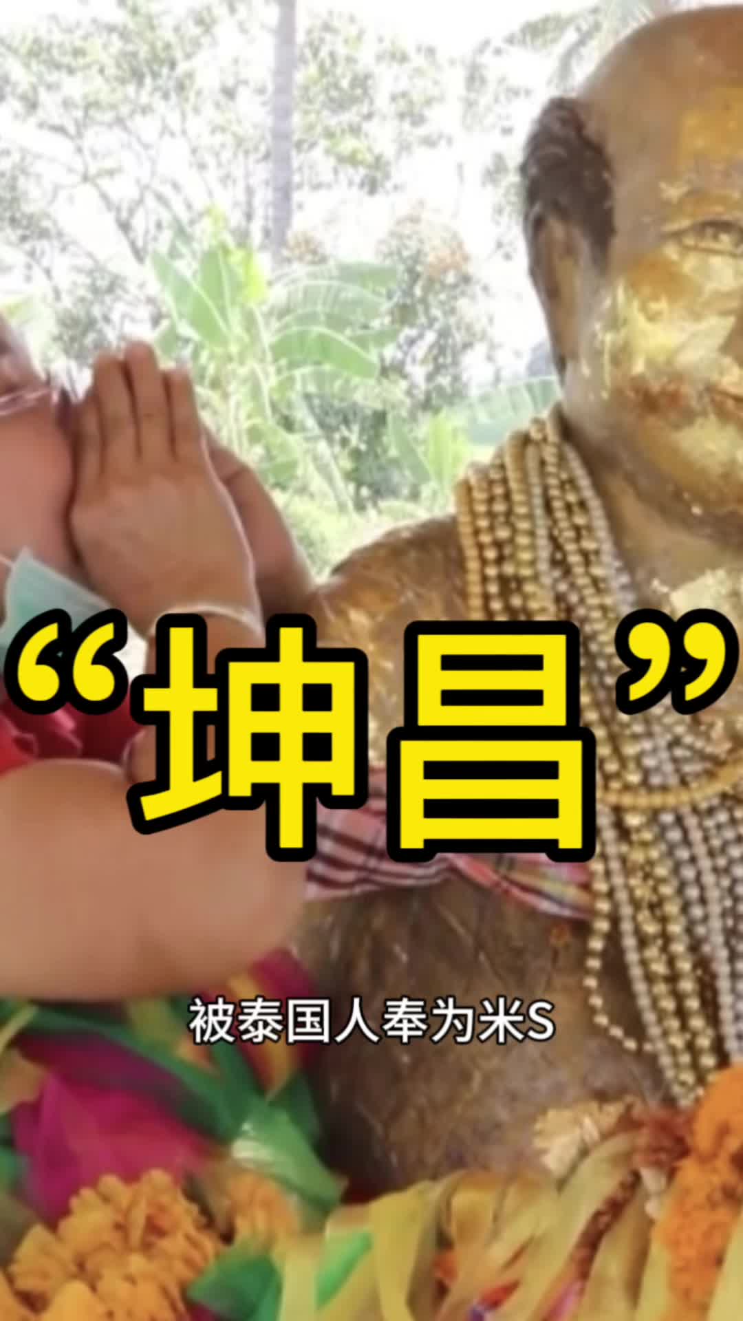 #泰国#坤昌#古巴磐石#招米进宝