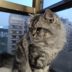 青天夏末 