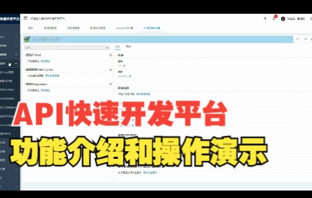API快速开发平台介绍和演示