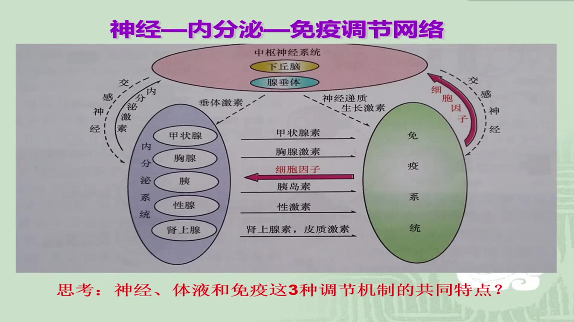 ...专题讲座 主讲人:金久 学校:安庆一中 您的浏览器不支持 video 属性。