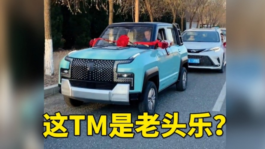 不是兄弟,你管这玩意儿叫老头乐?