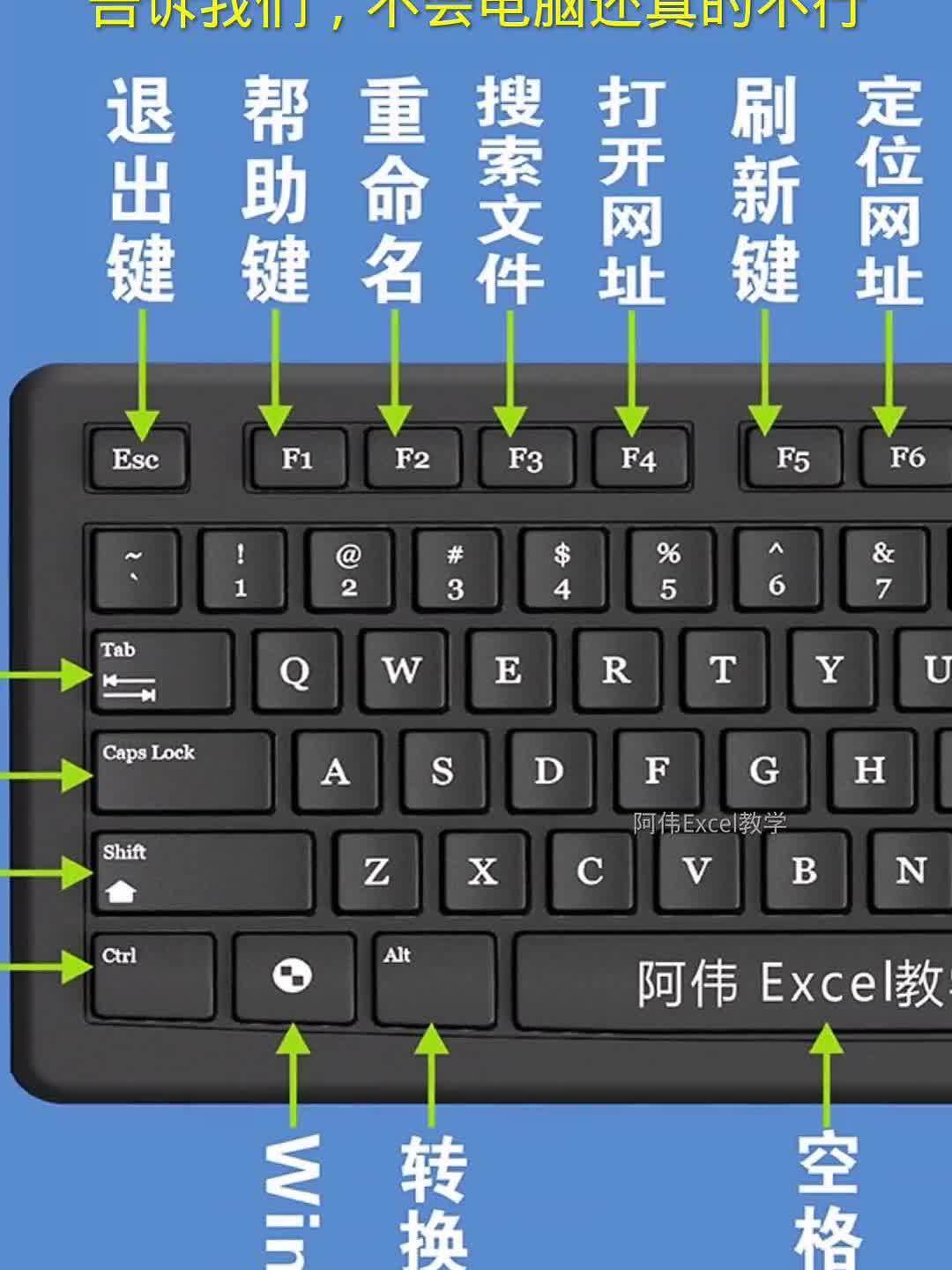 认识键盘#键盘 #电脑 #电脑知识 #职场 #每天学习一点点