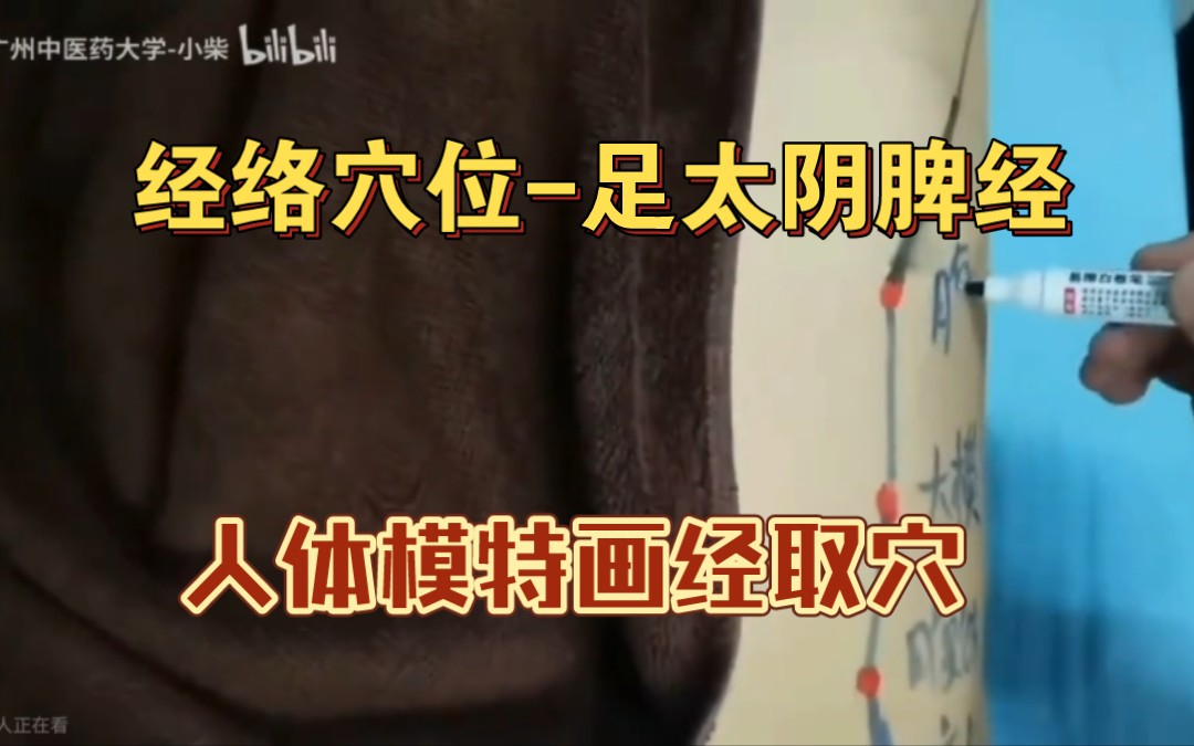 巧记经络穴位-足太阴脾经