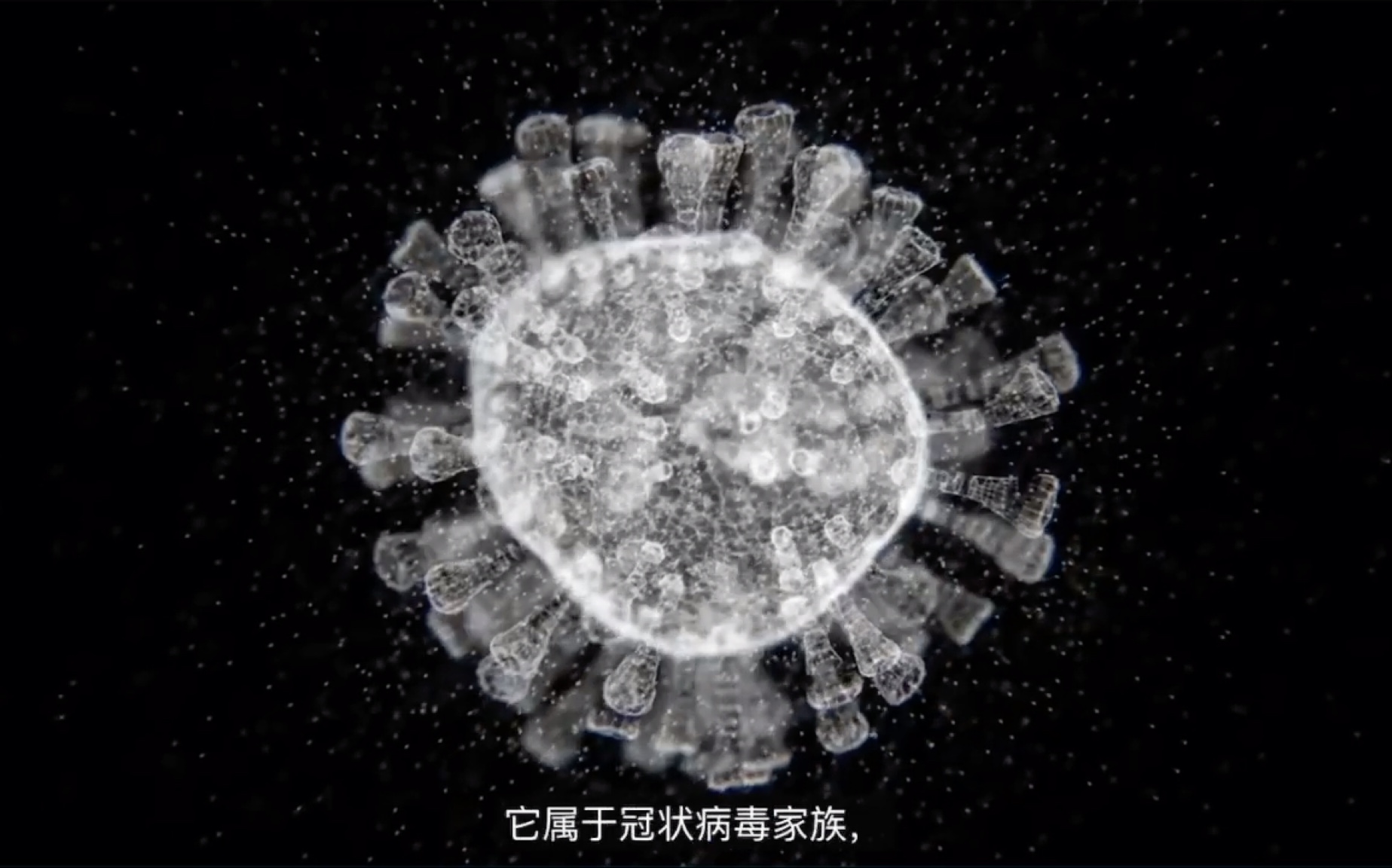 COVID-19动画,如果你感染新冠肺炎会怎么样?