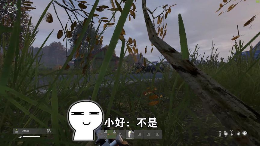 DayZ:神秘的代码神奇的草神经的钓鱼真的好