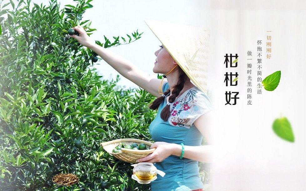 柑柑好宣传片-新会陈皮柑普茶