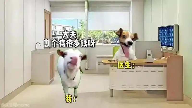 当你去医院还讨价还价时