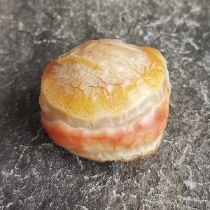 死磕奥数的笨笨老师 