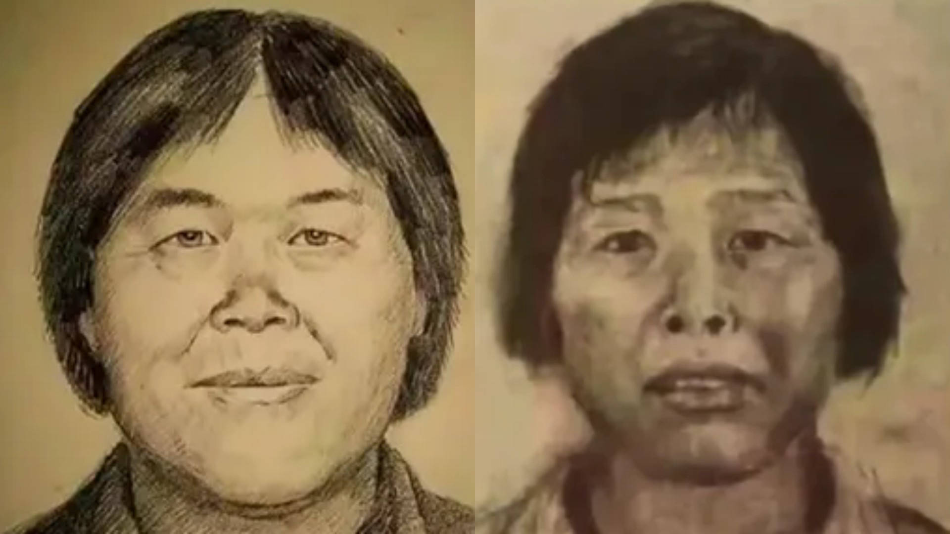 潜逃20余载"梅姨"落网,每交易1名儿童拿1000元介绍费