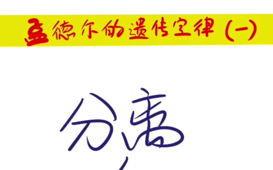 熊老师一分钟课堂,分离定律