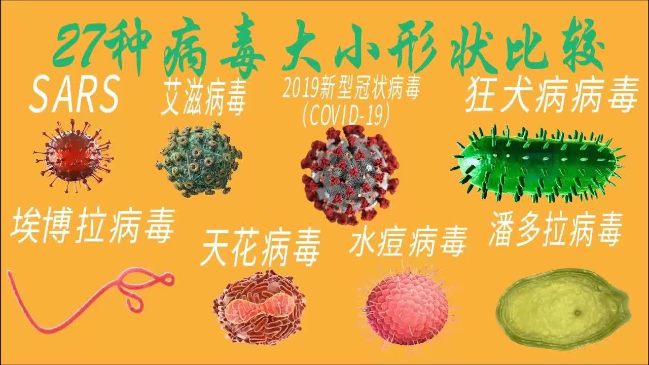 ...常见病毒大小形状比较!看看令人恐怖的病毒都长什么模样! #新冠病毒