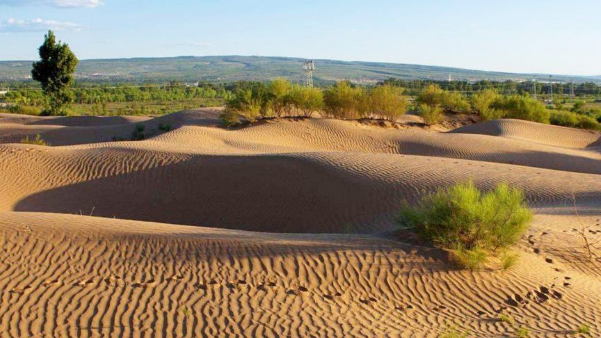 世界上第一个消失的沙漠,4万平方公里黄沙变森林,堪称中国奇迹