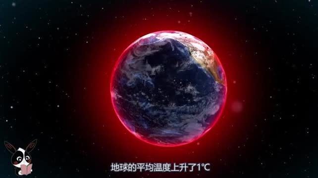 如果我们种下一万亿棵树,地球将会怎样?