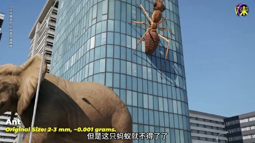 你知道如果所有的动物一样大会怎么样吗分享有趣的视频脑洞大开动物...