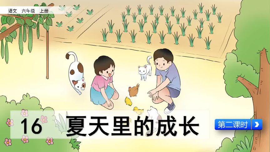 课文讲解-语文-6上-16 夏天里的成长(第2课时)